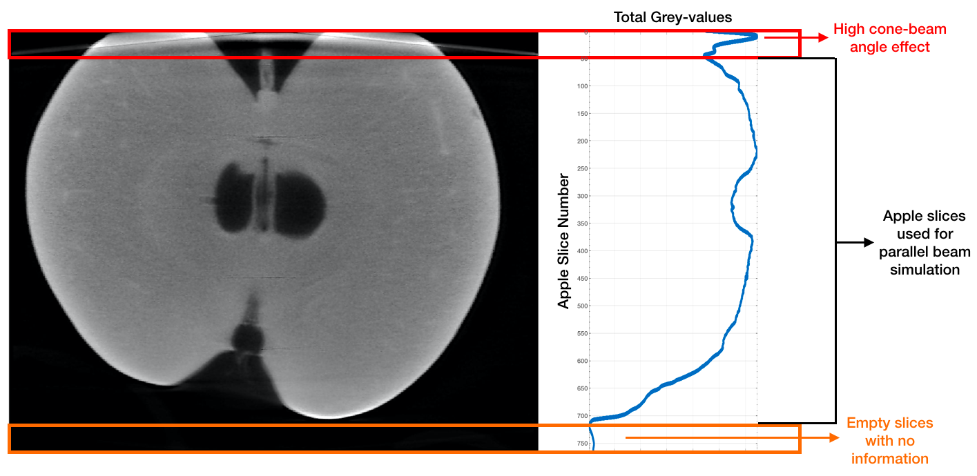 Parallel-beam X-ray CT datasets of apples with internal defects and ...