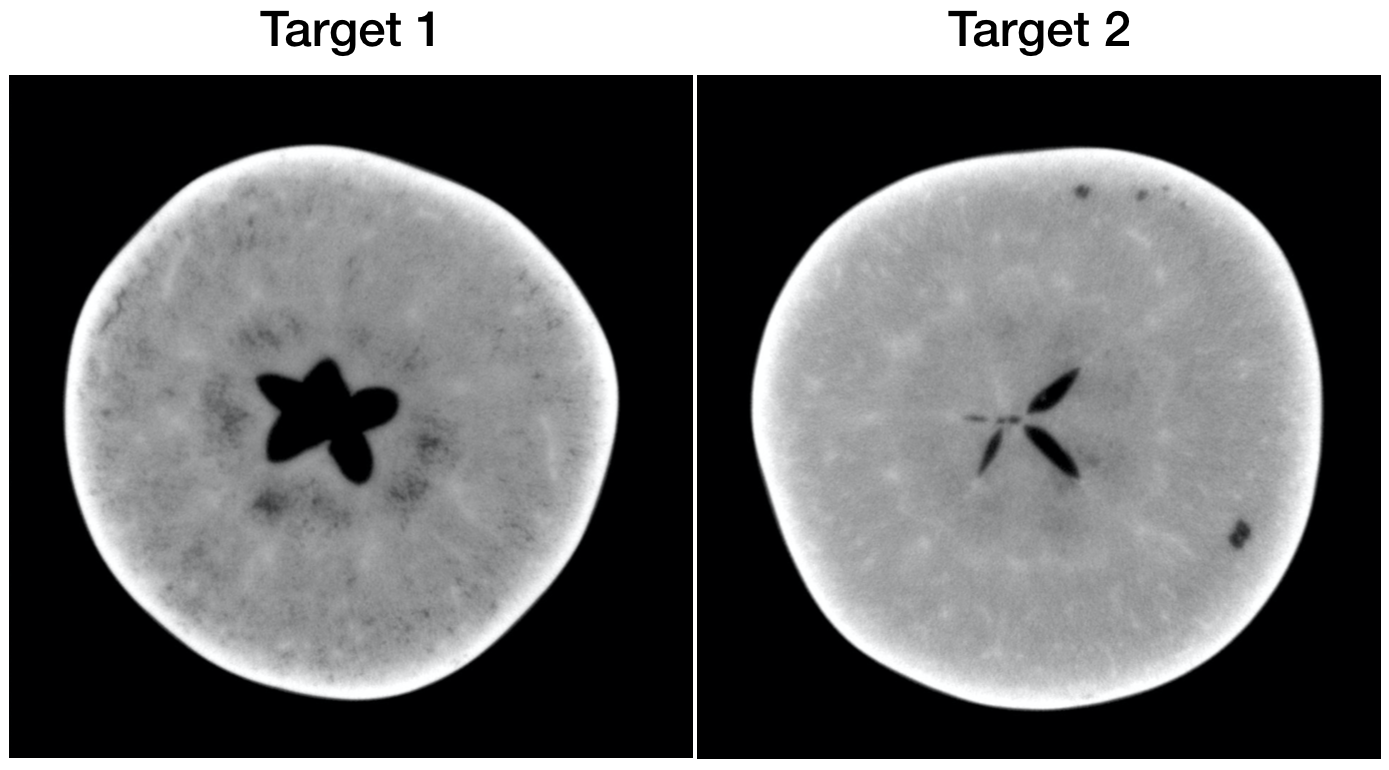 Parallel-beam X-ray CT datasets of apples with internal defects and ...