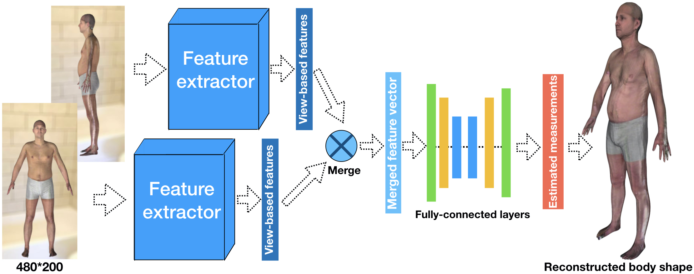 Learning Anthropometry from Rendered Humans | DeepAI