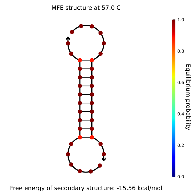 Efficient approximation of DNA hybridisation using deep learning | DeepAI
