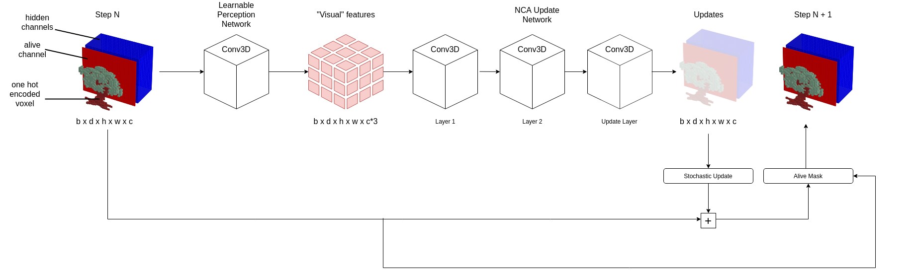 Growing 3d Artefacts And Functional Machines With Neural Cellular Automata Deepai