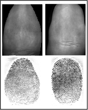 C2CL: Contact to Contactless Fingerprint Matching | DeepAI