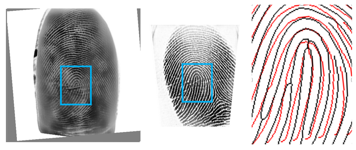 C2CL: Contact to Contactless Fingerprint Matching | DeepAI