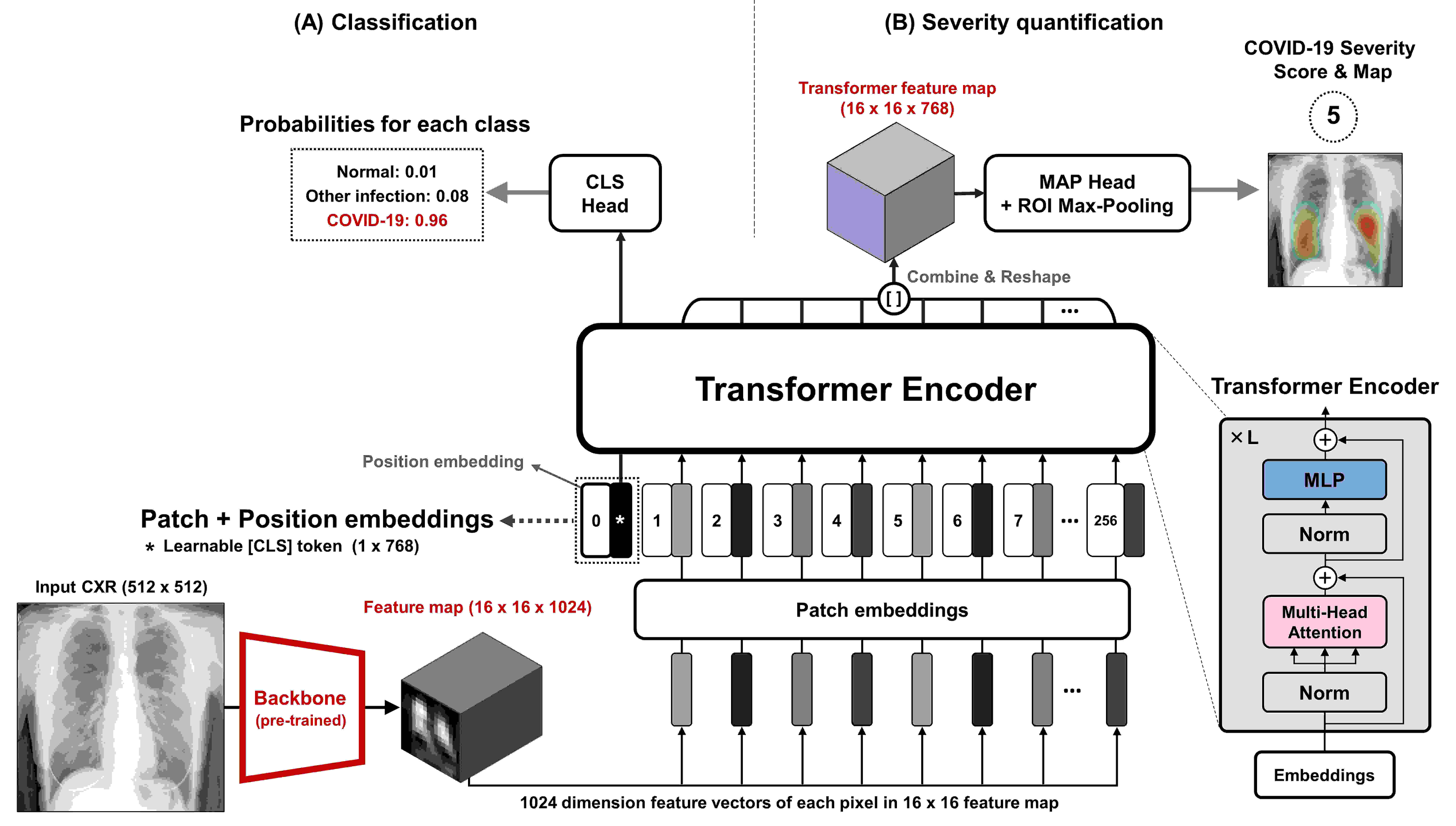 Vision Transformer using Low-level Chest X-ray Feature Corpus for COVID ...