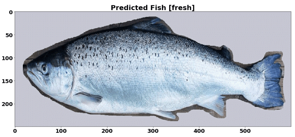 Fish Disease Detection Using Image Based Machine Learning Technique in ...