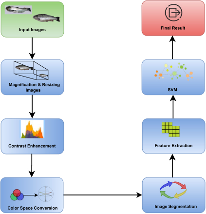 Fish Disease Detection Using Image Based Machine Learning Technique in ...