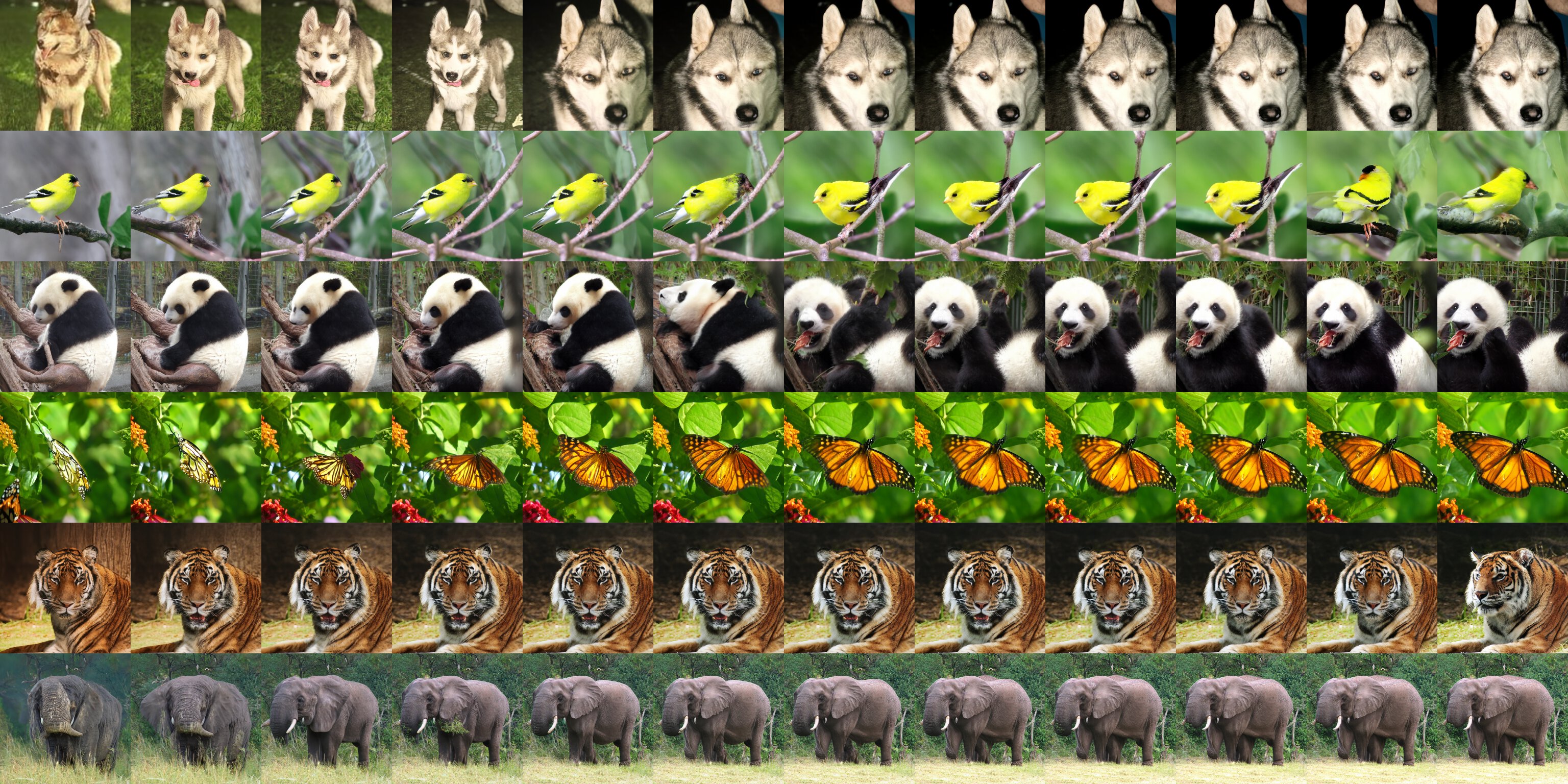 Diffusion Models Beat GANs on Image Synthesis | DeepAI