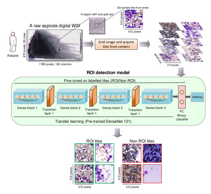 Histogram of Cell Types: Deep Learning for Automated Bone Marrow Cytology | DeepAI