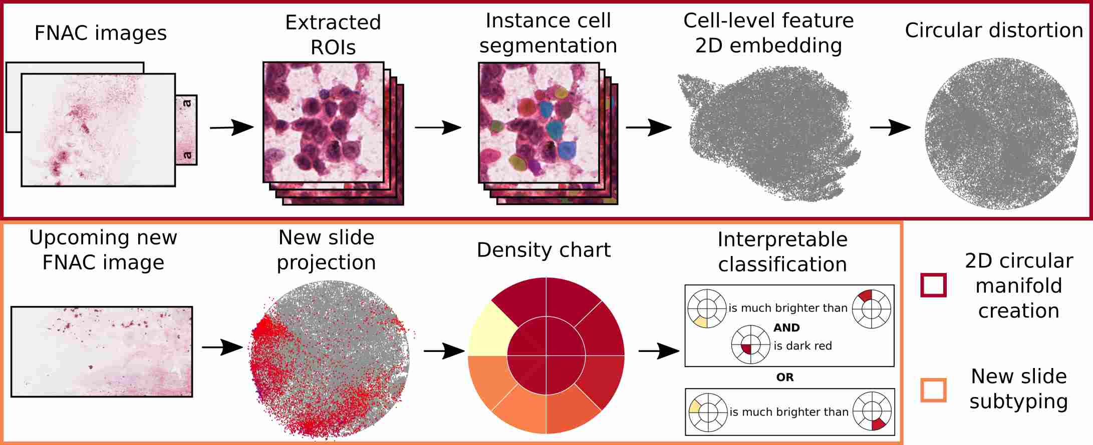 An Interpretable Algorithm for Uveal Melanoma Subtyping from Whole Slide Cytology Images | DeepAI