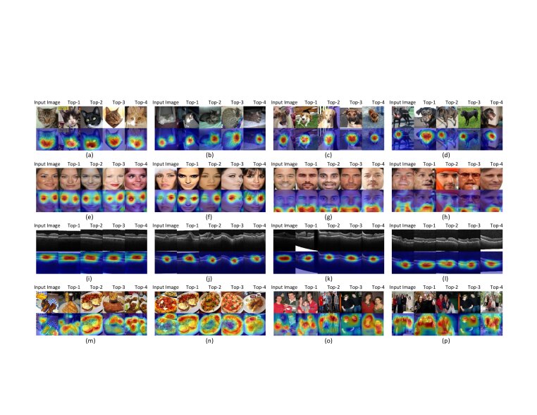 Finding Representative Interpretations on Convolutional Neural Networks | DeepAI