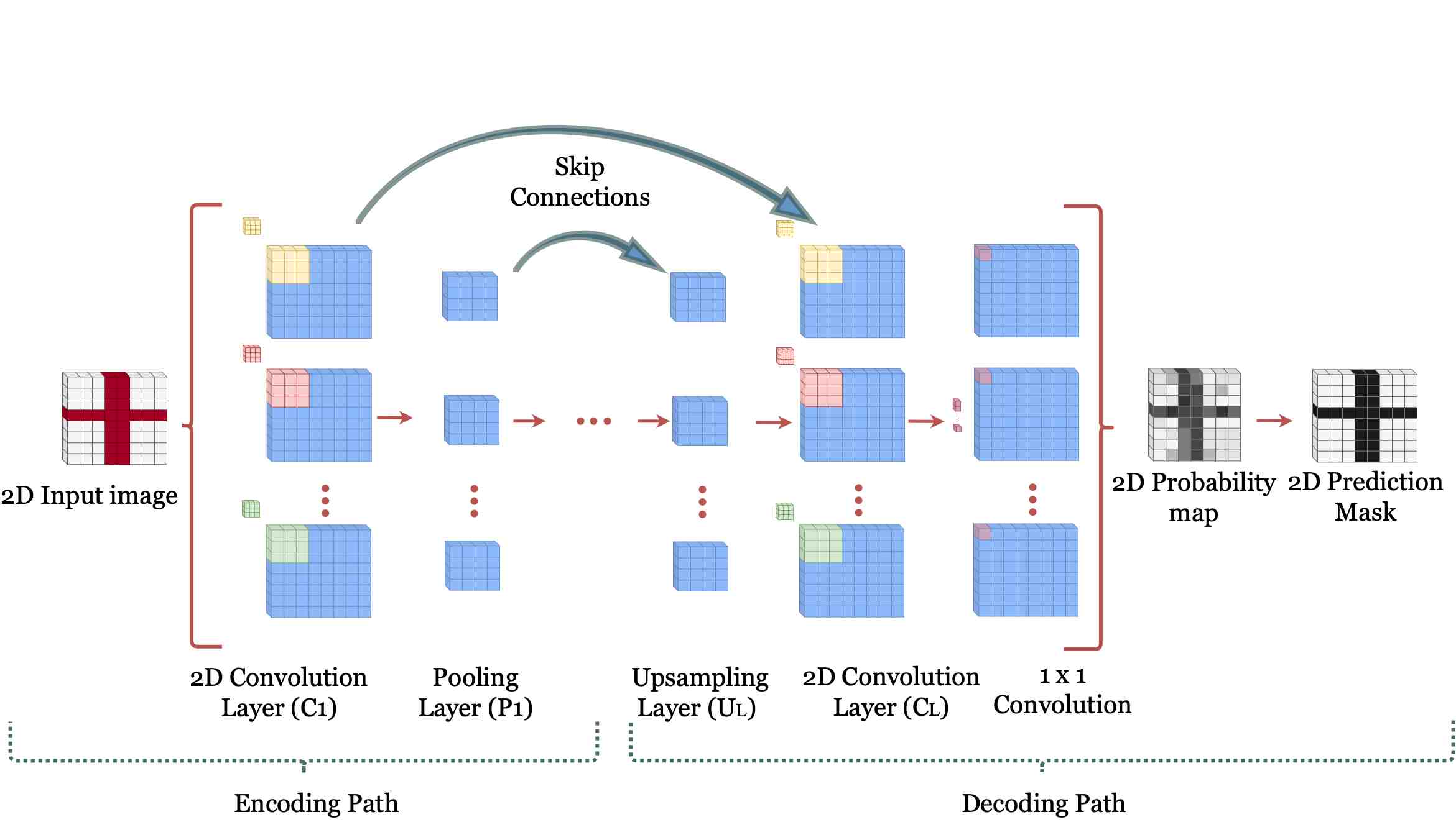 Medical Image Segmentation Using 3d Convolutional Neural Networks A Review Deepai