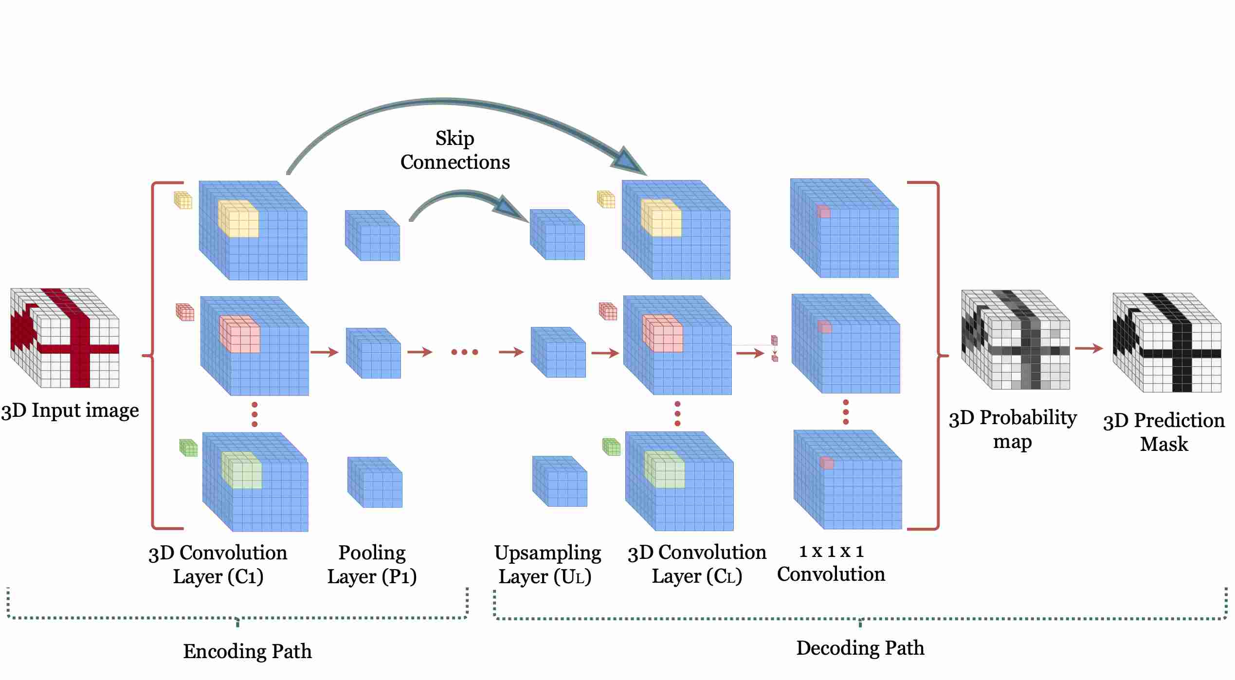 Medical Image Segmentation using 3D Convolutional Neural Networks: A ...