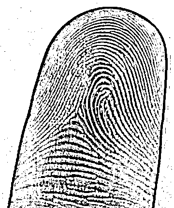 A Contactless Fingerprint Recognition System | DeepAI