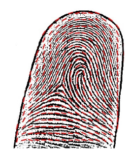 A Contactless Fingerprint Recognition System | DeepAI