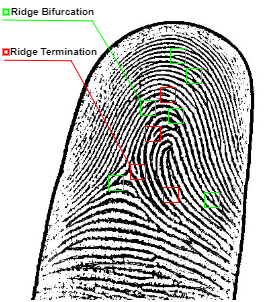 A Contactless Fingerprint Recognition System | DeepAI