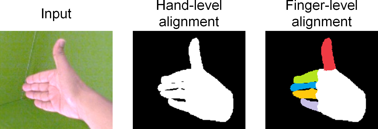 Towards Accurate Alignment in Real-time 3D Hand-Mesh Reconstruction ...