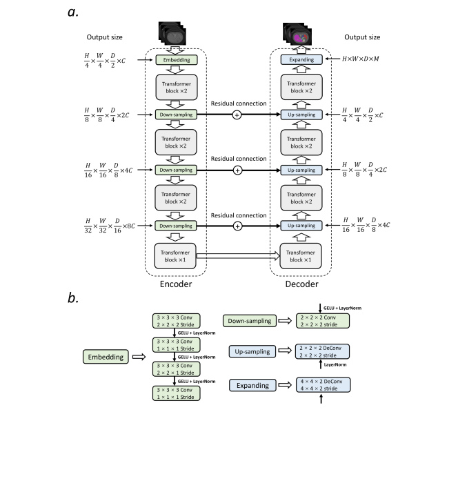 nnFormer: Interleaved Transformer for Volumetric Segmentation | DeepAI
