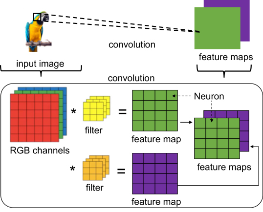 Explaining Convolutional Neural Networks by Tagging Filters | DeepAI