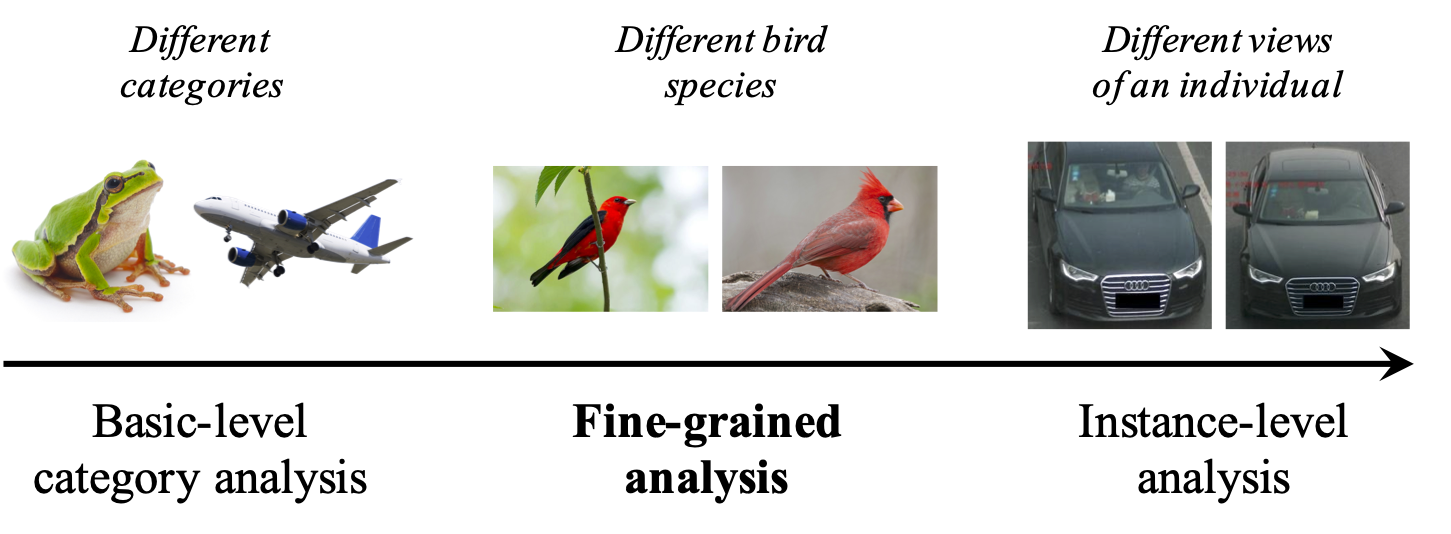 Fine-Grained Image Analysis with Deep Learning: A Survey | DeepAI