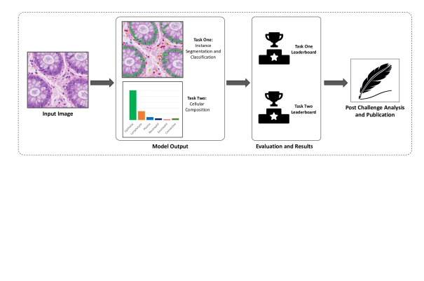 CoNIC: Colon Nuclei Identification and Counting Challenge 2022 | DeepAI