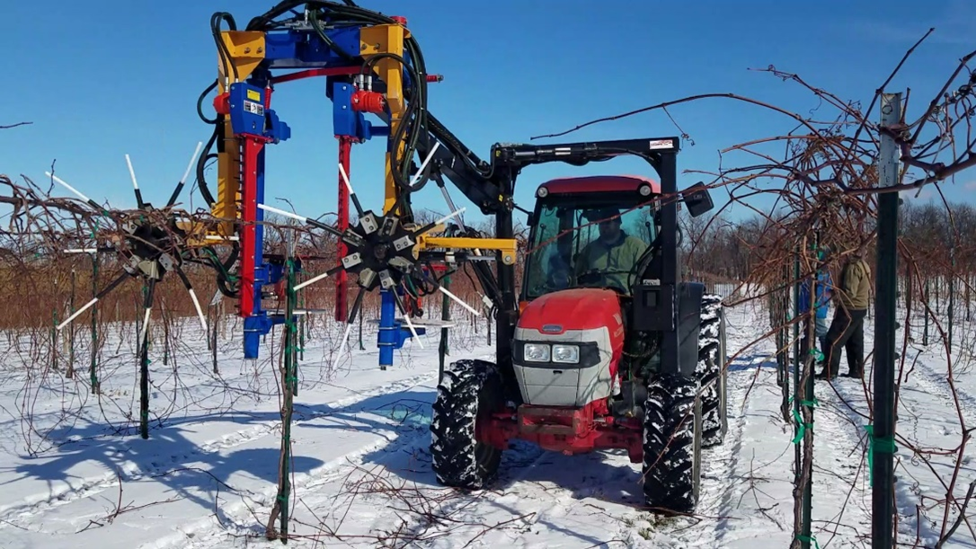 Bumblebee: A Path Towards Fully Autonomous Robotic Vine Pruning | DeepAI