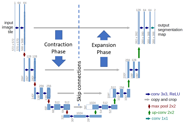 Bt Unet A Self Supervised Learning Framework For Biomedical Image Segmentation Using Barlow