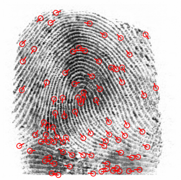 PrintsGAN: Synthetic Fingerprint Generator | DeepAI