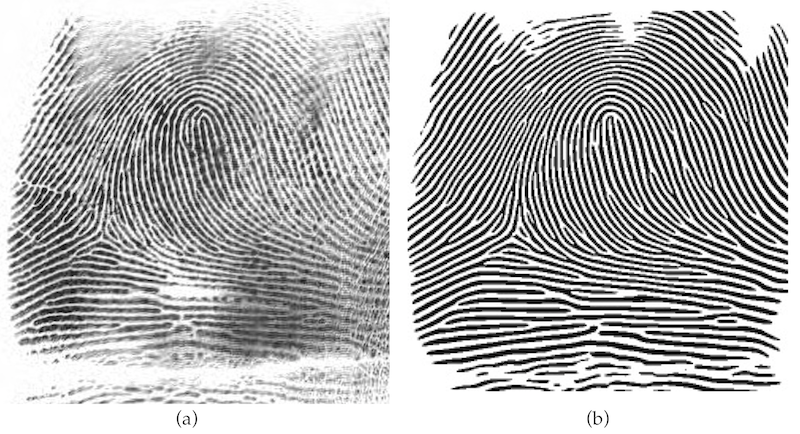 PrintsGAN: Synthetic Fingerprint Generator | DeepAI