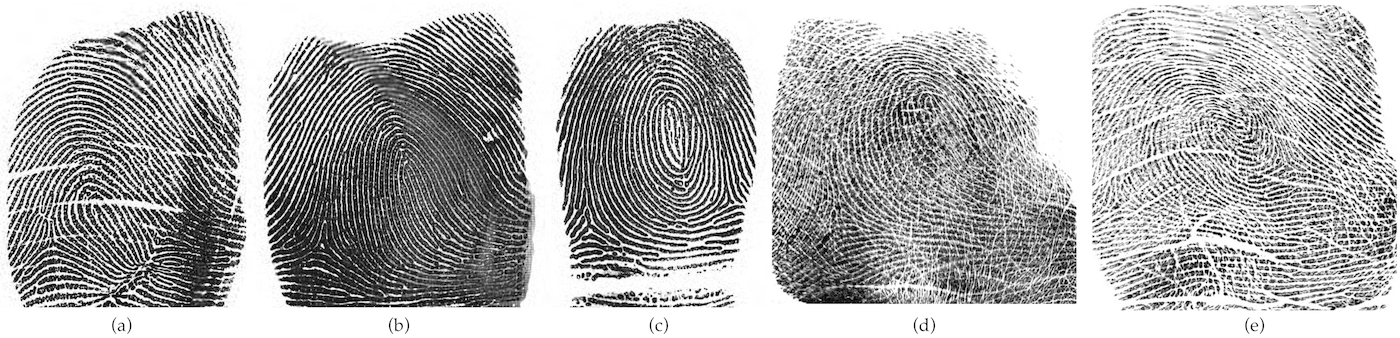 PrintsGAN: Synthetic Fingerprint Generator | DeepAI