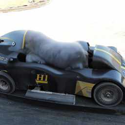 RePaint: Inpainting using Denoising Diffusion Probabilistic Models | DeepAI