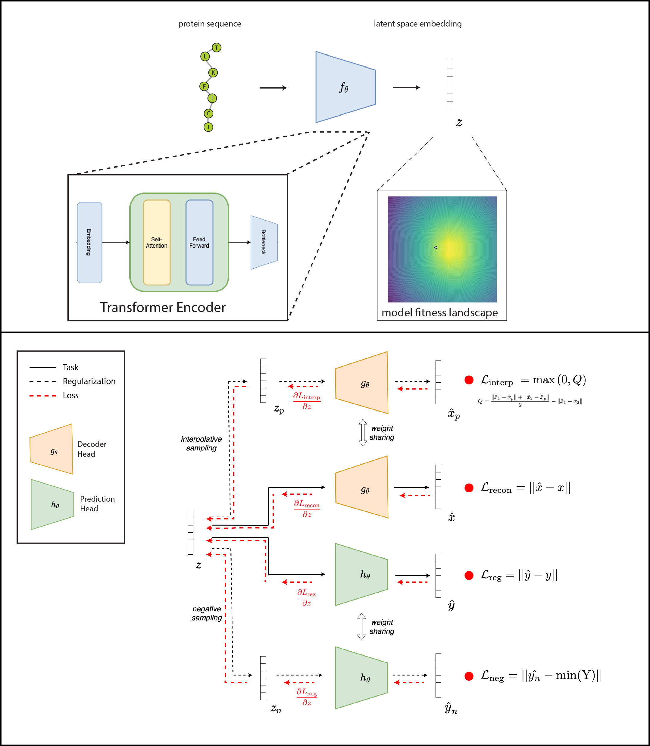 Guided Generative Protein Design using Regularized Transformers | DeepAI