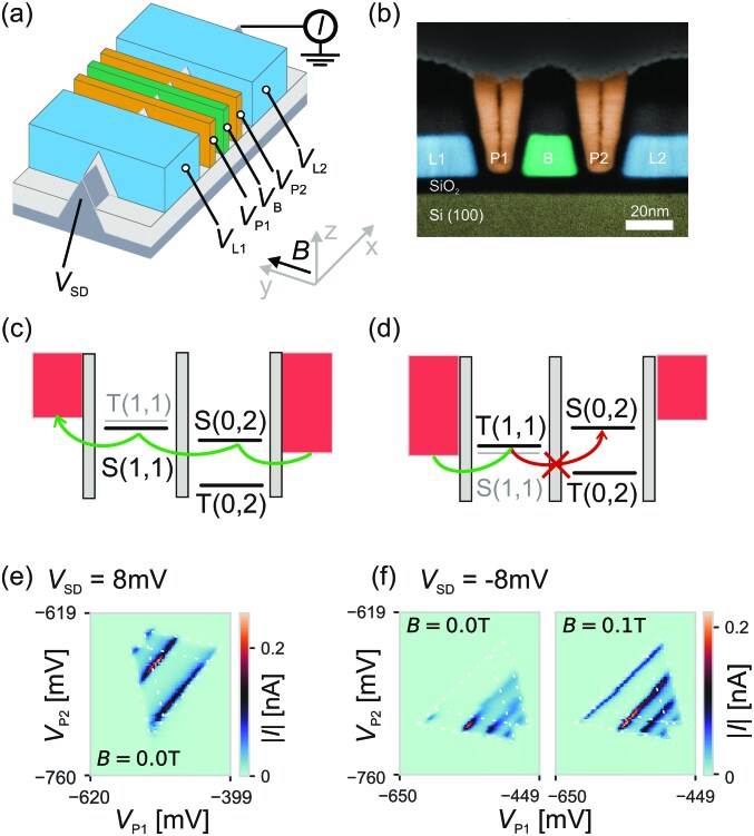 Identifying Pauli spin blockade using deep learning | DeepAI