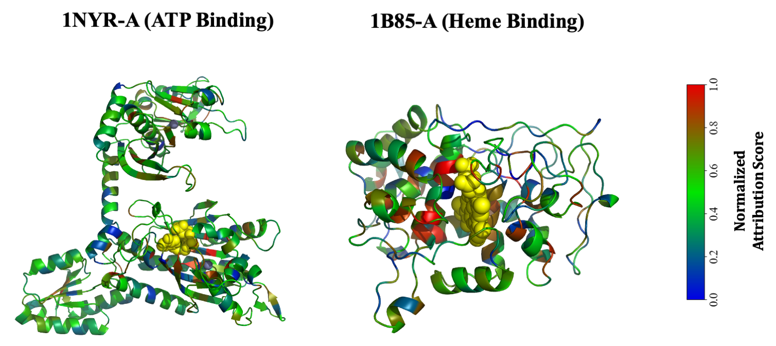 Protein Representation Learning by Geometric Structure Pretraining | DeepAI