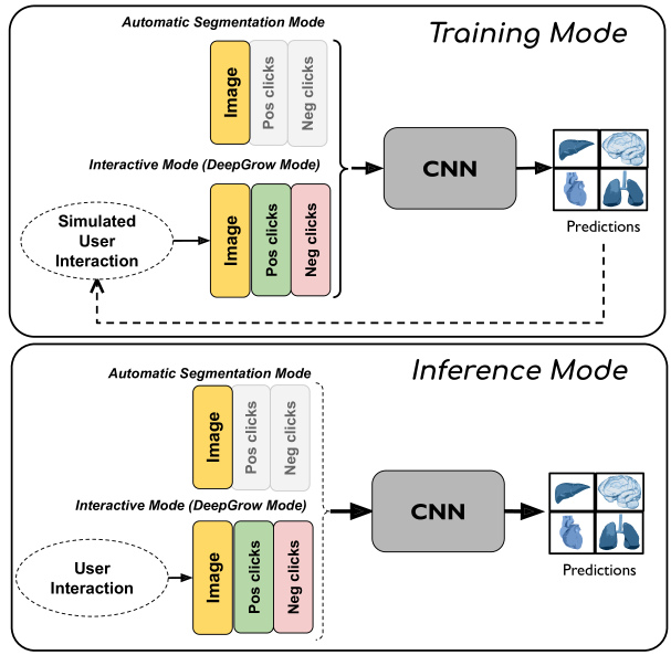 MONAI Label: A framework for AI-assisted Interactive Labeling of 3D ...