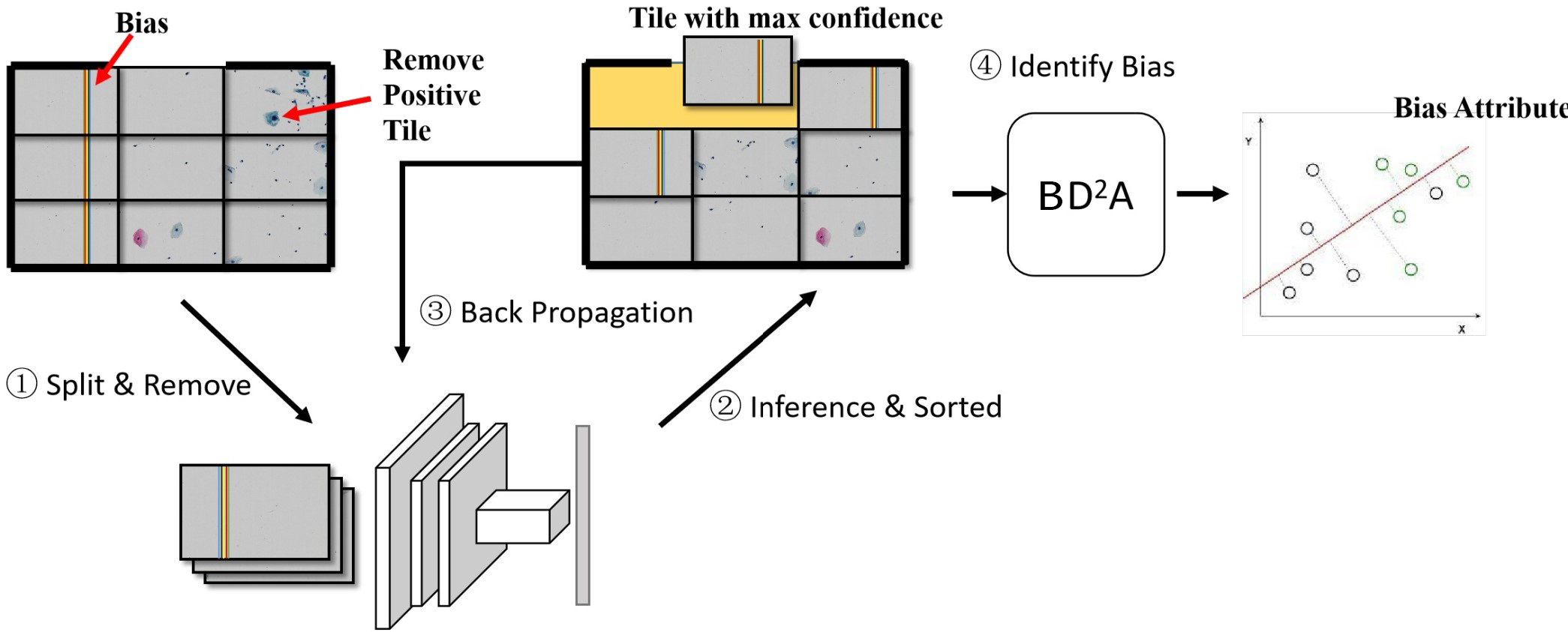 Intrinsic Bias Identification on Medical Image Datasets | DeepAI