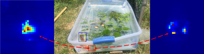 High-Performance Transformer Tracking | DeepAI