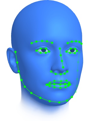 3D face reconstruction with dense landmarks | DeepAI