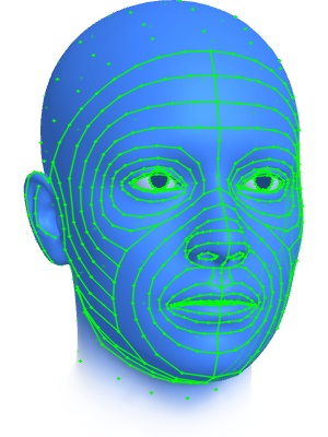 3D face reconstruction with dense landmarks | DeepAI