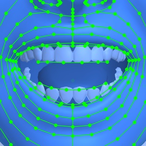 3D face reconstruction with dense landmarks | DeepAI