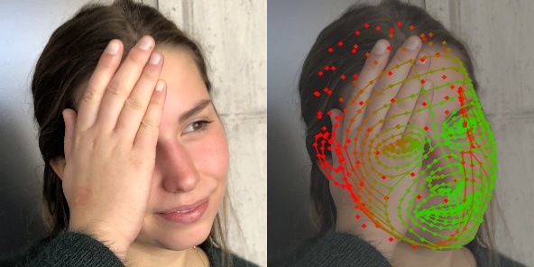 3D face reconstruction with dense landmarks | DeepAI