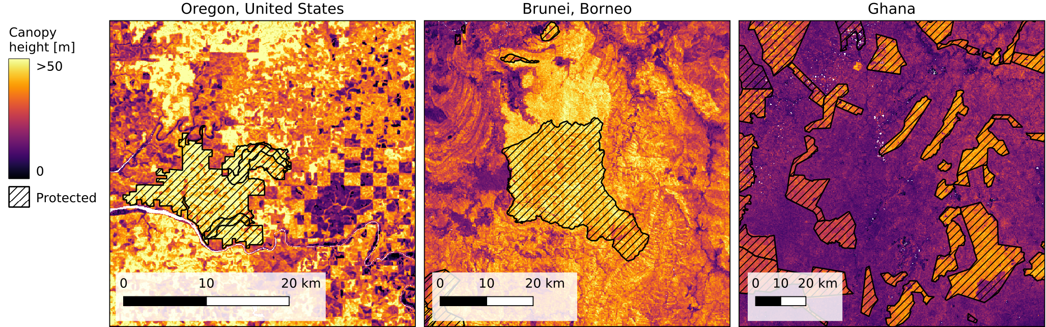 A high-resolution canopy height model of the Earth | DeepAI