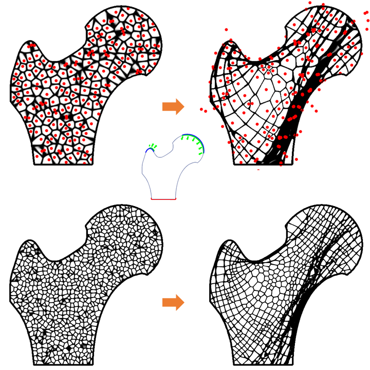 Cellular Topology Optimization on Differentiable Voronoi Diagrams | DeepAI