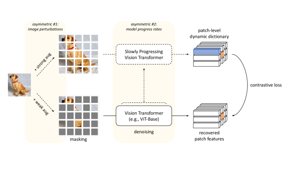 Masked Image Modeling With Denoising Contrast Deepai 