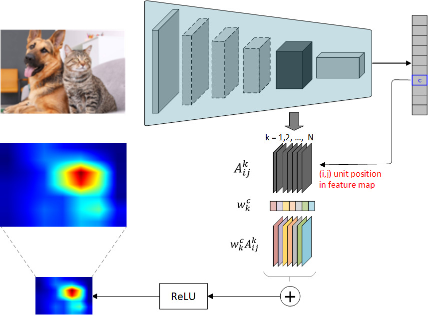 Grad-CAM++ is Equivalent to Grad-CAM With Positive Gradients | DeepAI