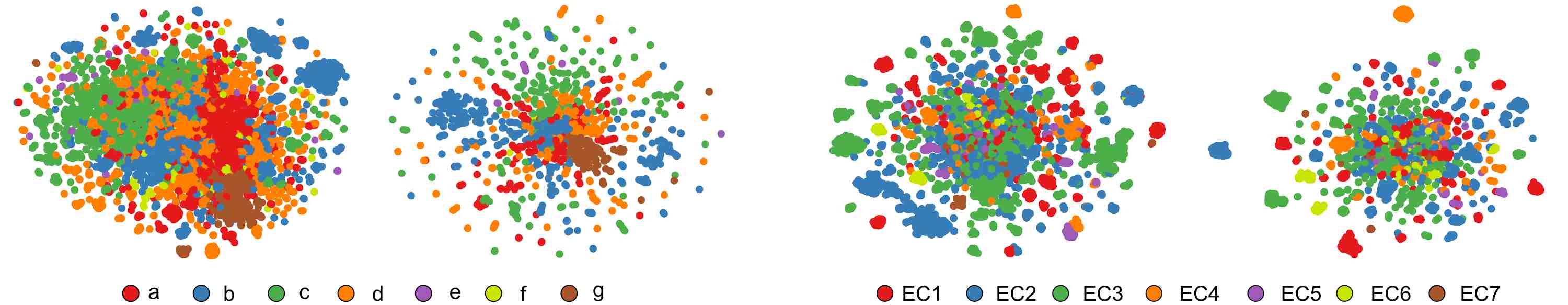 Contrastive Representation Learning for 3D Protein Structures | DeepAI