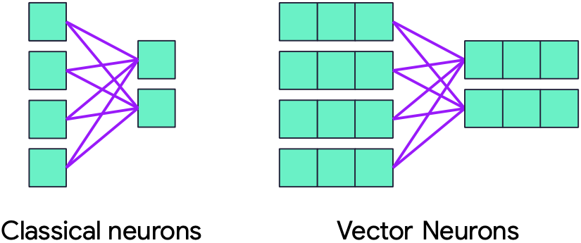 VN-Transformer: Rotation-Equivariant Attention for Vector Neurons | DeepAI