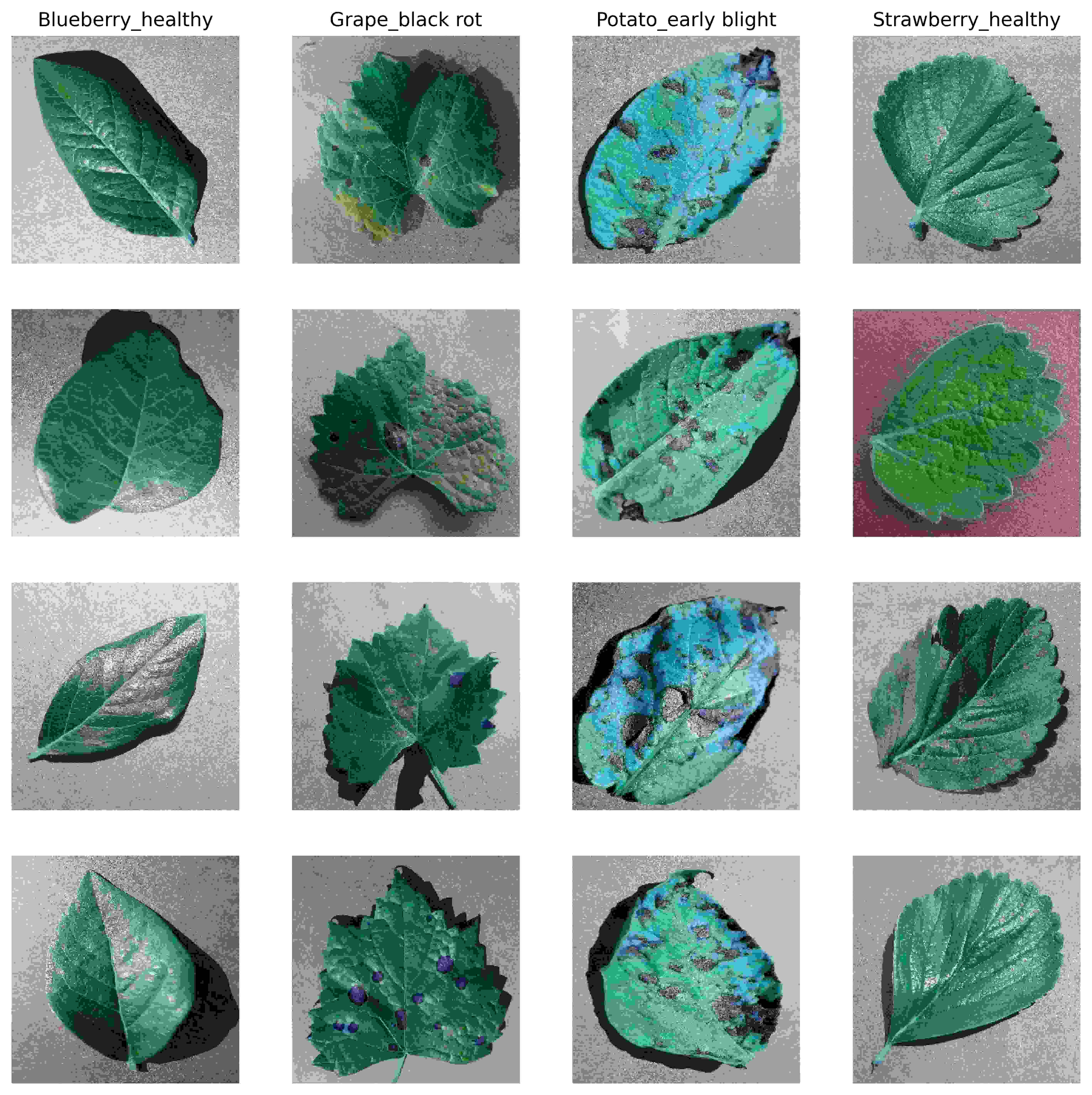 Uncovering bias in the PlantVillage dataset | DeepAI