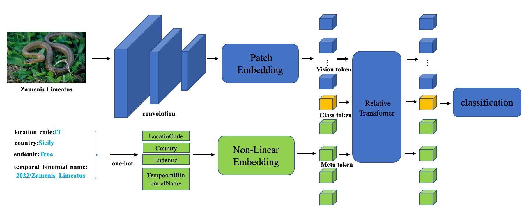 Explored An Effective Methodology for Fine-Grained Snake Recognition ...