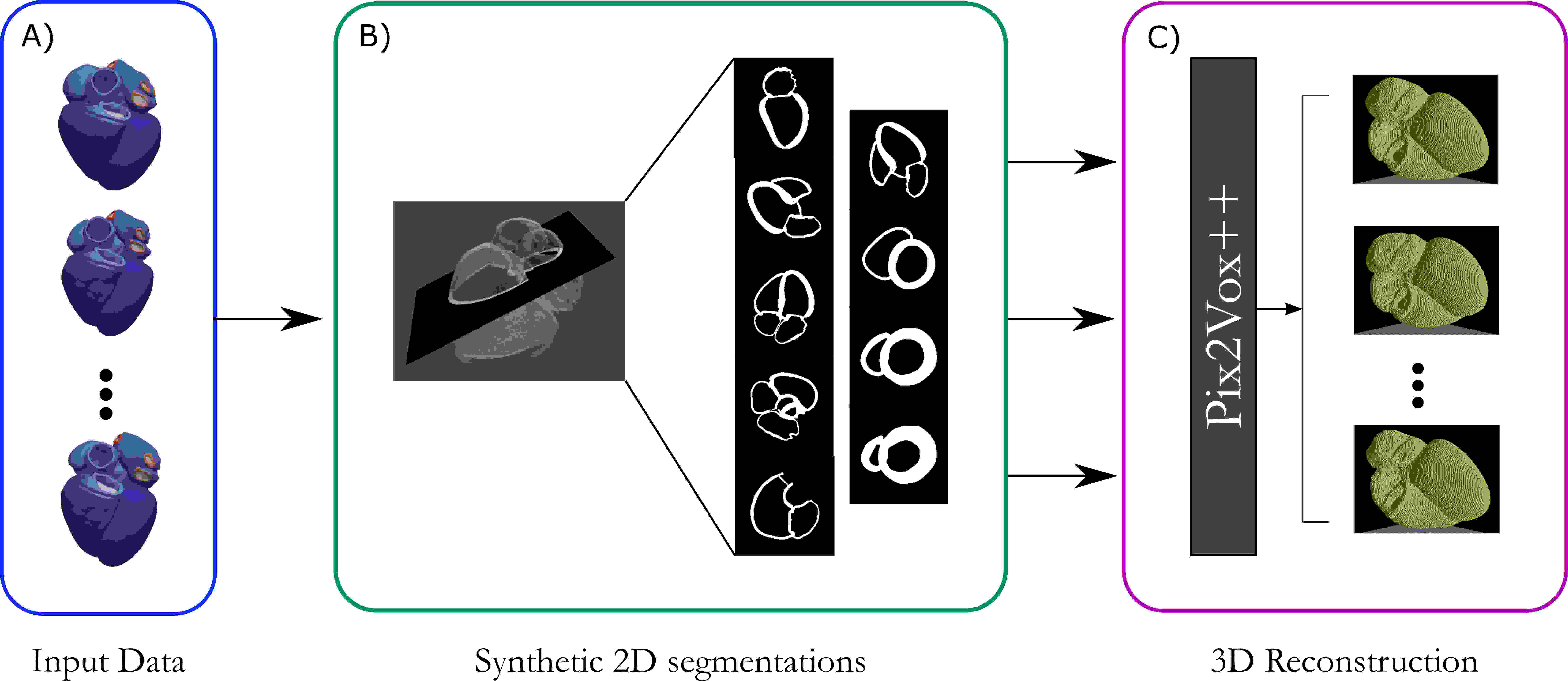 Efficient Pix2Vox++ for 3D Cardiac Reconstruction from 2D echo views | DeepAI