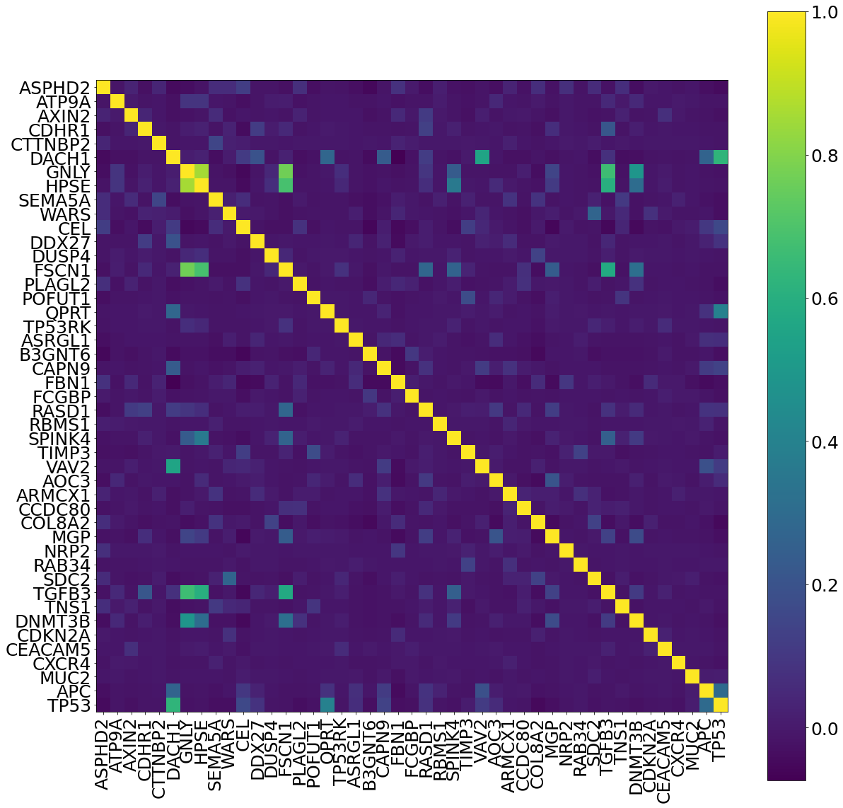 Attention-based Interpretable Regression of Gene Expression in ...